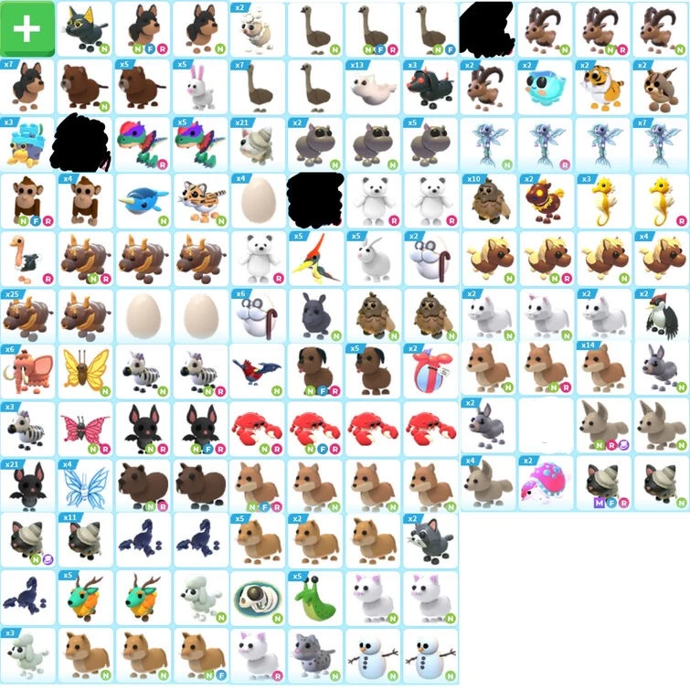 LF - R Pots/Teen+ King Bees/Neon King Bees | Fandom