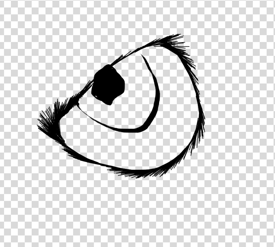 Eye | Fandom