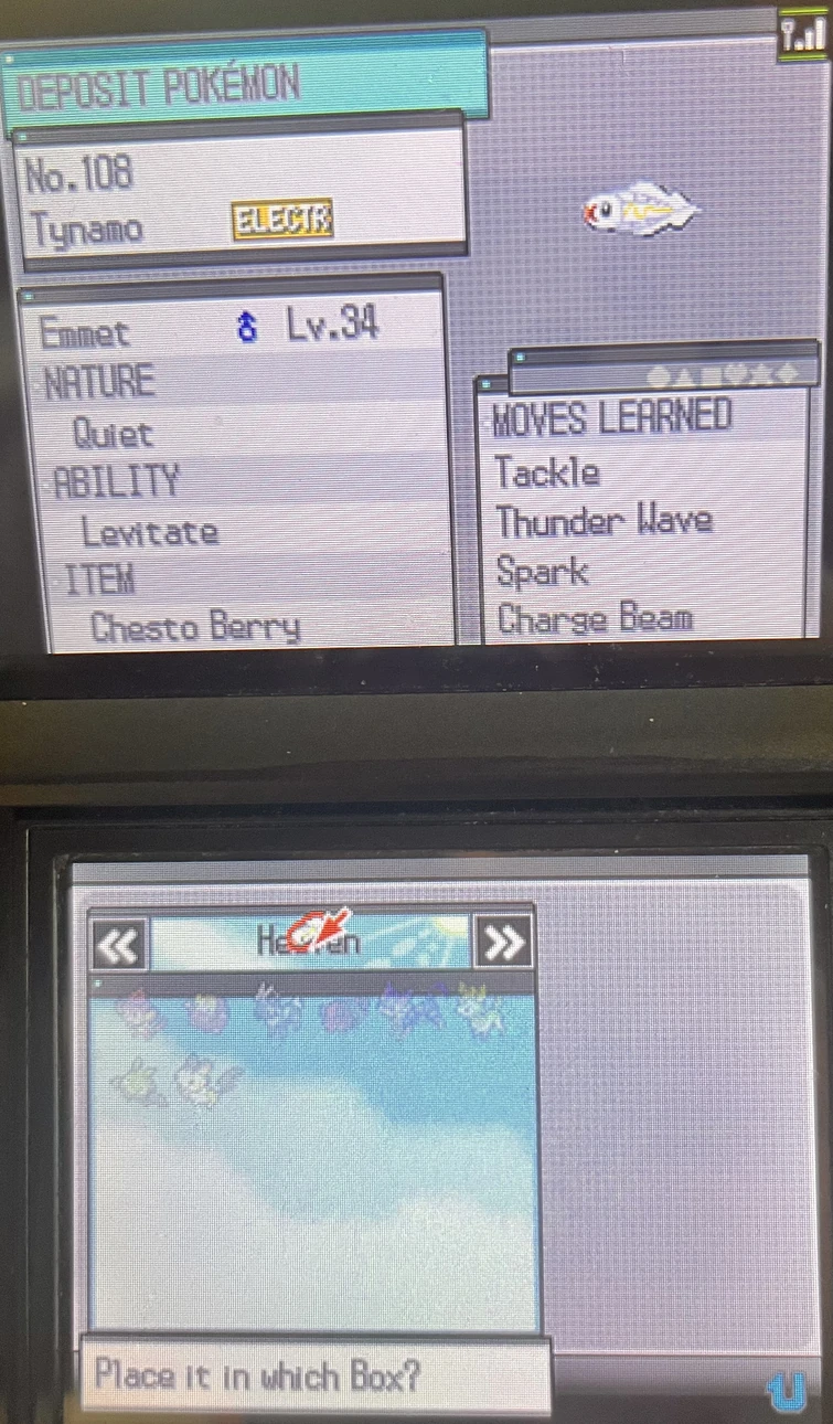 Me and Cheren have permanent beef. | Fandom