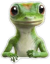 Bangkok Geckos | American Football Association Wiki | Fandom