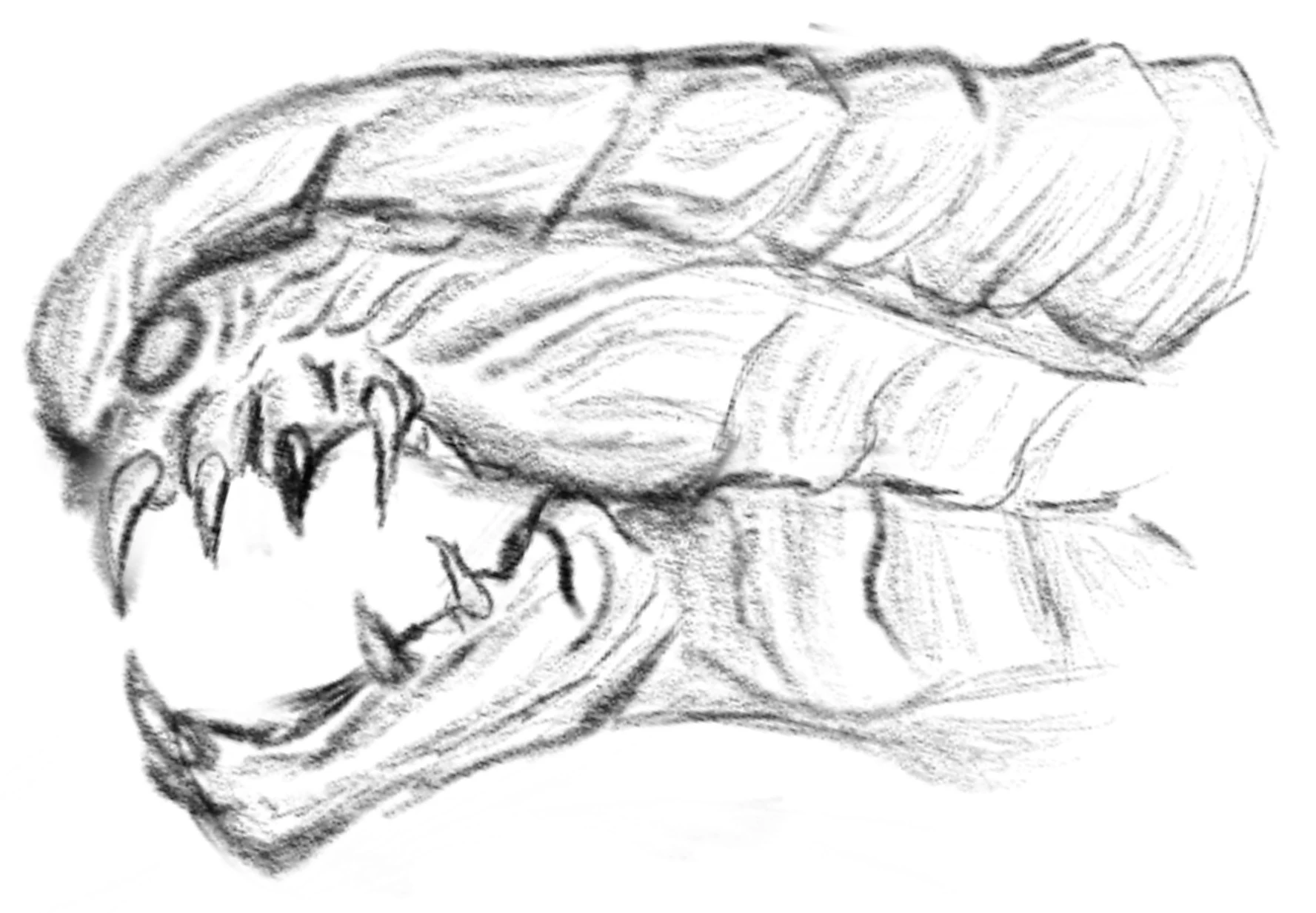 Kaiju Head Sketch #3: Orga | Fandom