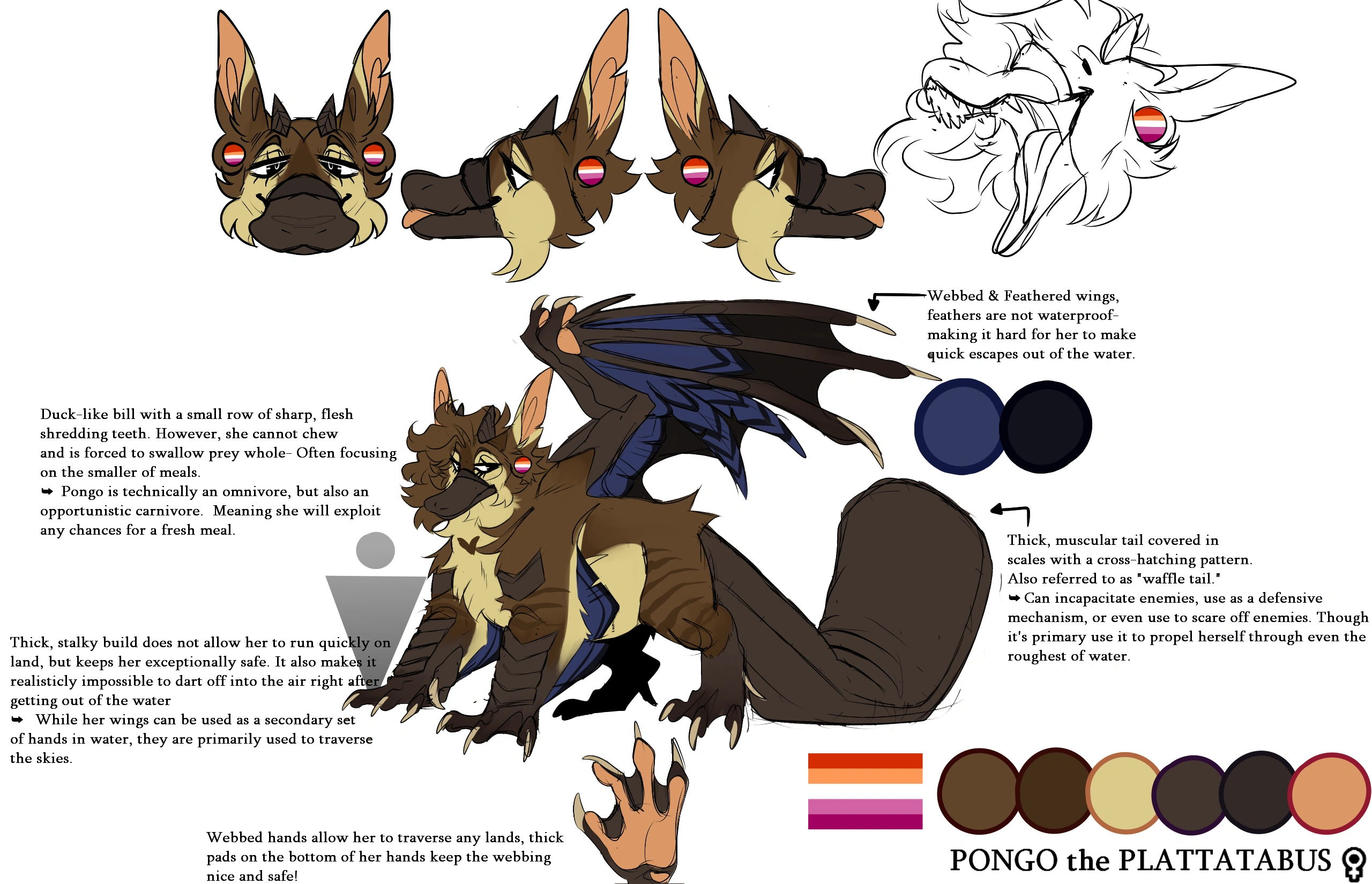 Pongo the Platypus (New COS oc) | Fandom