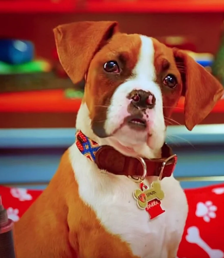 Discuss Everything About Pup Academy Wiki | Fandom