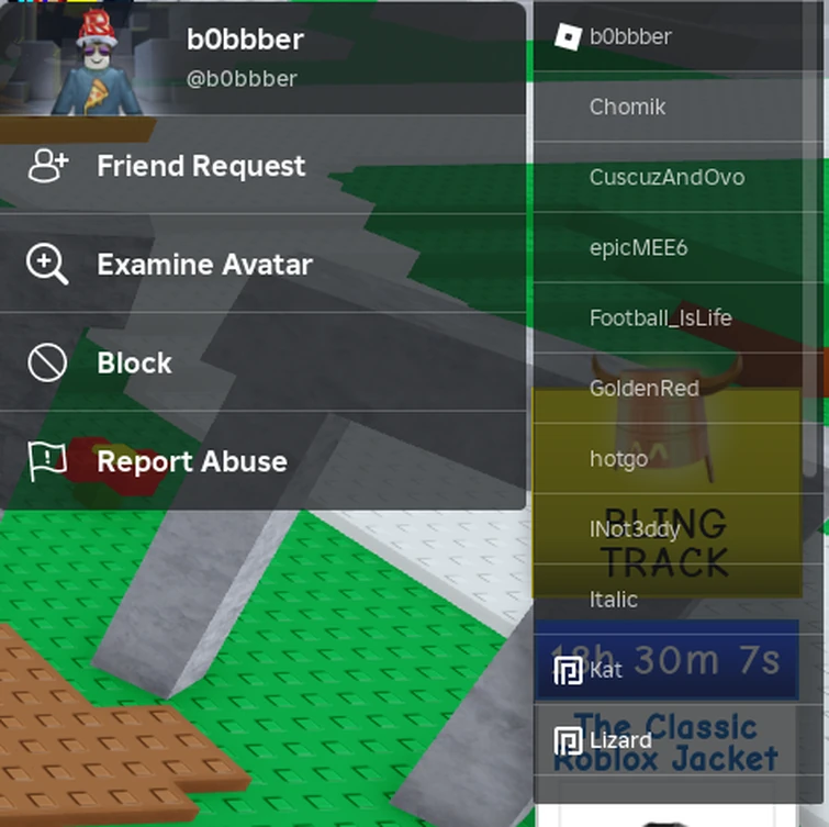 I met a roblox admin | Fandom