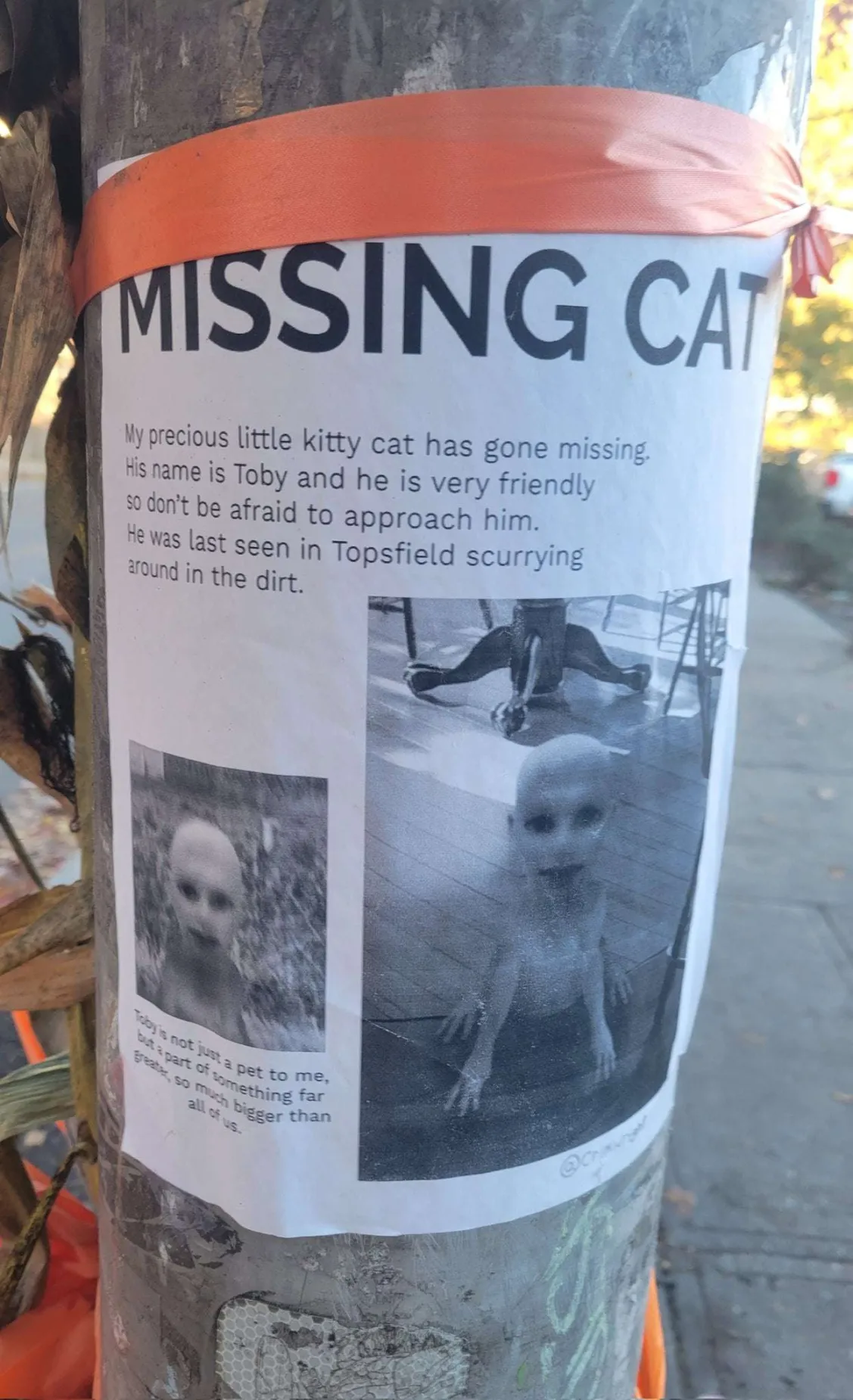 i still need entity ideas (and some creations) | Fandom