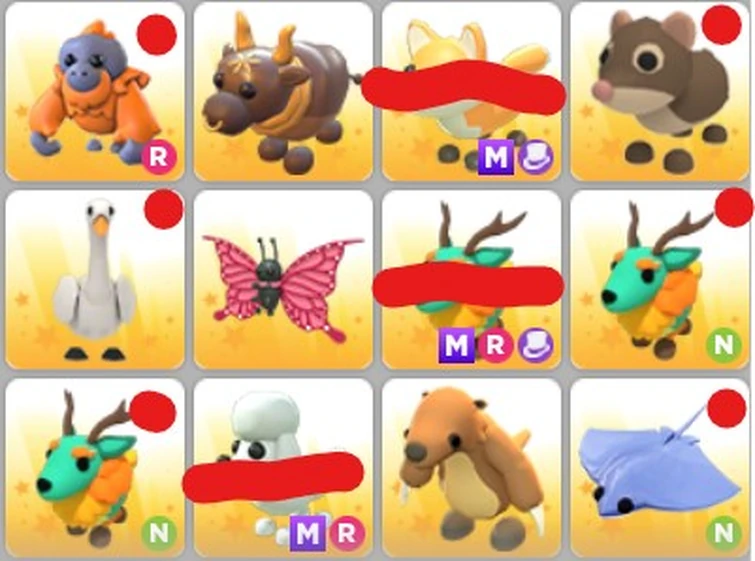 LF: 4 amami rabbits! | Fandom