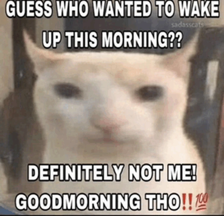 send me the memes on your pc that have been rotting for the longest ...