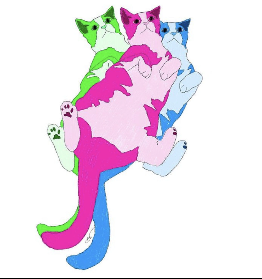 Omg Anne Sasha Marcy Calamity Colors of a cat | Fandom