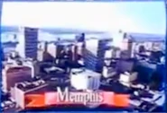 Season 7 (1995-1996) | America's Funniest Home Videos Wiki | Fandom