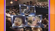 Season 7 (1995-1996) | America's Funniest Home Videos Wiki | Fandom