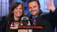 Season 17 (2006-2007) | America's Funniest Home Videos Wiki | Fandom