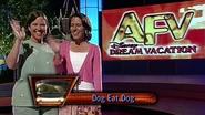 Season 15 (2004-2005) | America's Funniest Home Videos Wiki | Fandom
