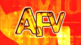 Season 17 (2006-2007) | America's Funniest Home Videos Wiki | Fandom