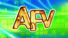 Season 22 (2011-2012) | America's Funniest Home Videos Wiki | Fandom