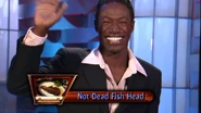 Season 17 (2006-2007) | America's Funniest Home Videos Wiki | Fandom