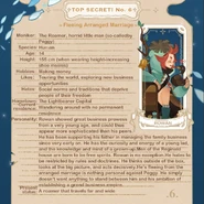 Rowan | AFK Arena Wiki | Fandom