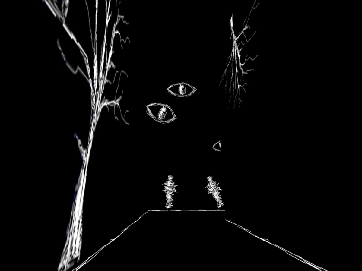 Hallucination Sequences Afraid Of Monsters Wiki Fandom