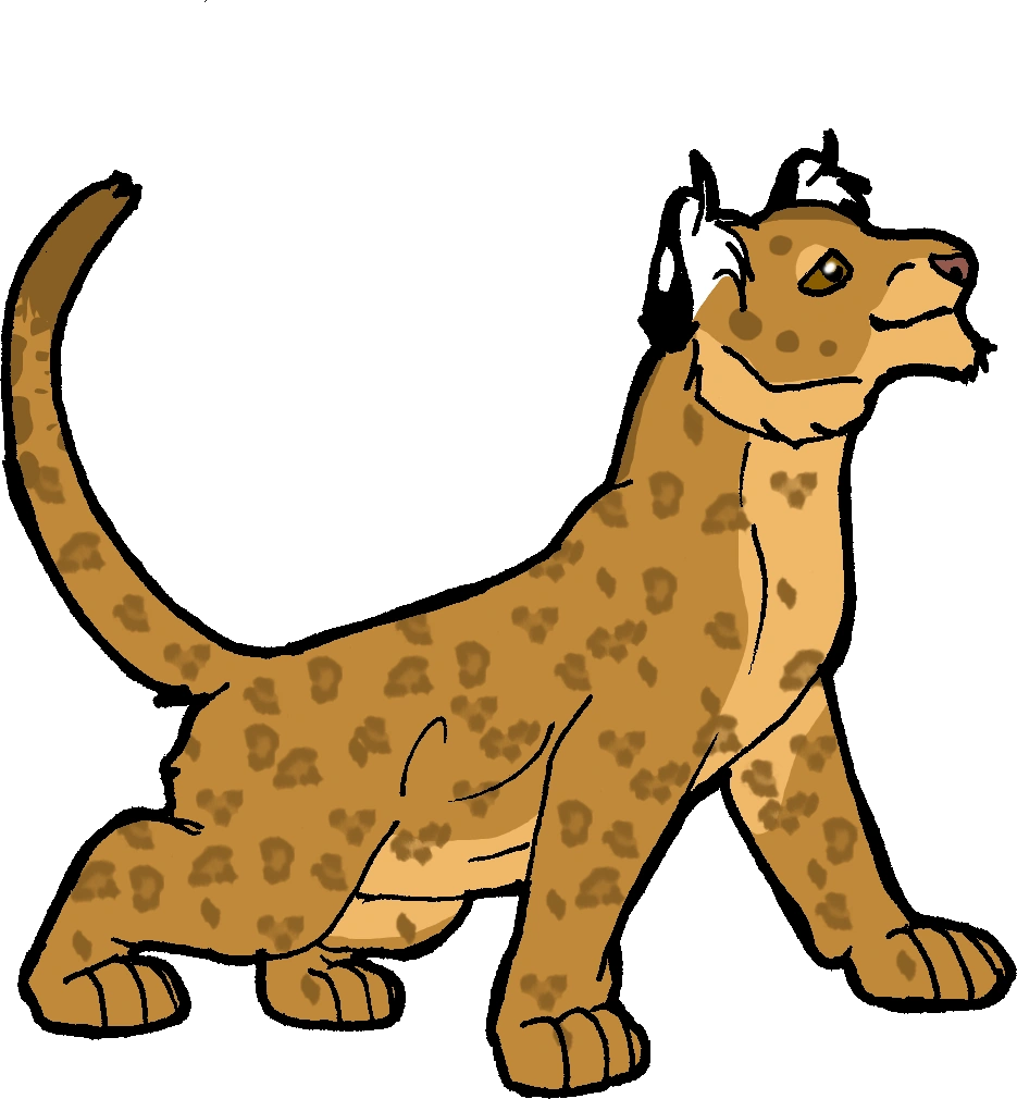 Kalahari | Africa Wiki | Fandom