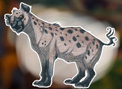 Badru | Africa Wiki | Fandom