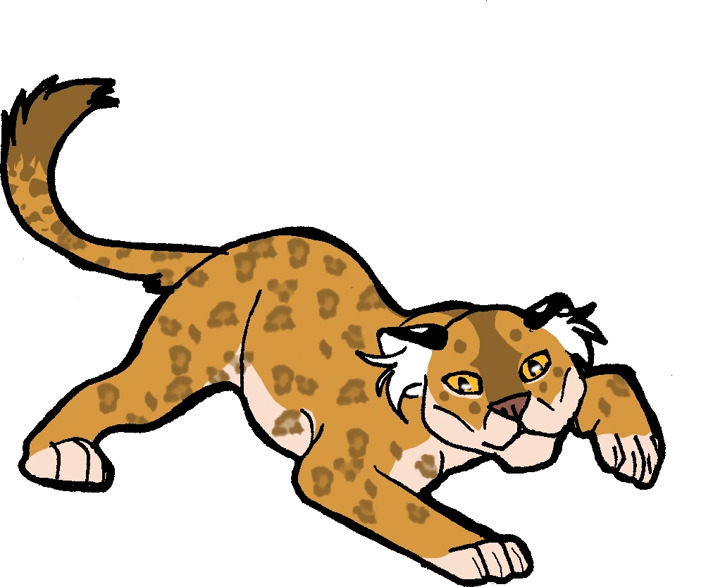 Namibia | Africa Wiki | Fandom