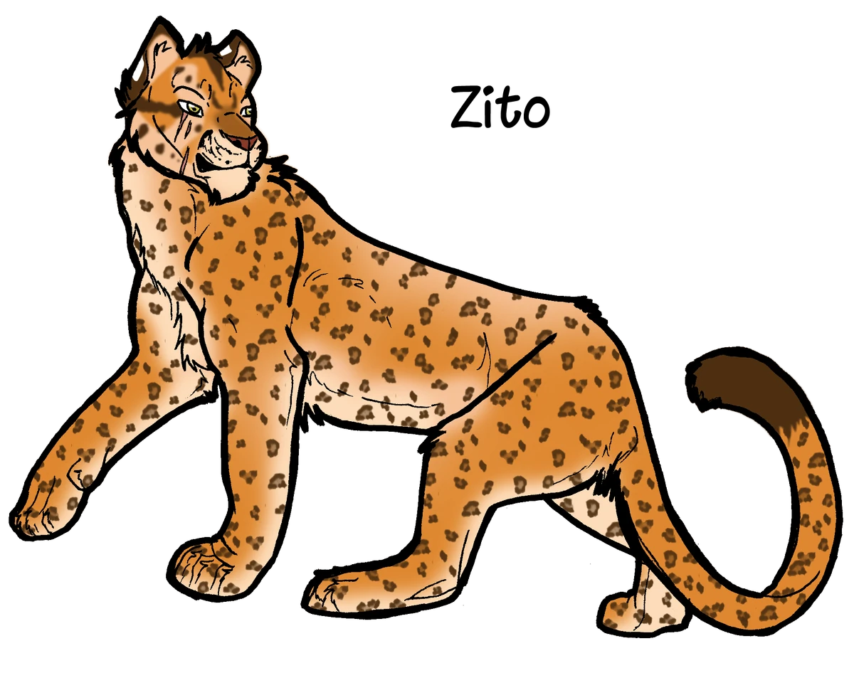 Zito | Africa Wiki | Fandom