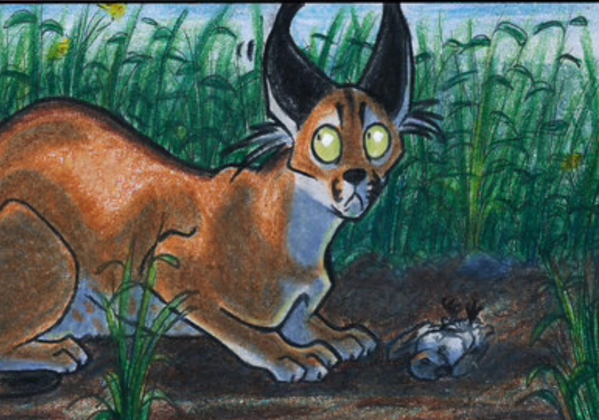 Bibi | Africa Wiki | Fandom