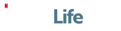 After Life | After Life Wiki | Fandom