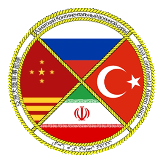 Asian Continental Military Force | After the Flash Official Wiki | Fandom