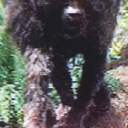 after earth creatures