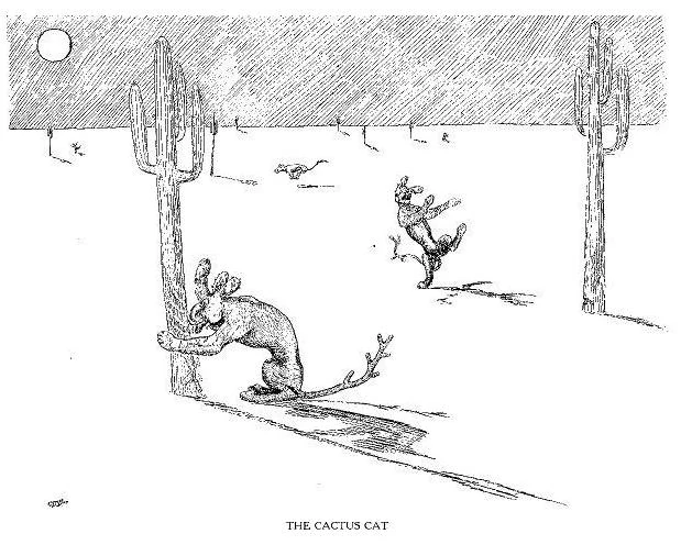 Cactus Cat | OVERTIME Wiki | Fandom