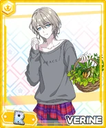 Cards/Verine/Herbalist | AfterL!fe Wiki | Fandom