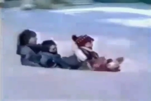 Three Kids Sled Into the House | AFV Wiki | Fandom
