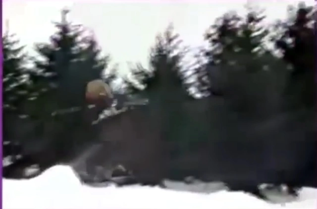 Ski Jumper Hits Tree | AFV Wiki | Fandom