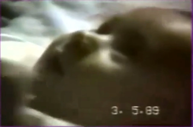 Baby Who Says "I Love You" | AFV Wiki | Fandom