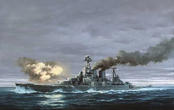 HMS Hood (51) | Against All Odds Wiki | Fandom