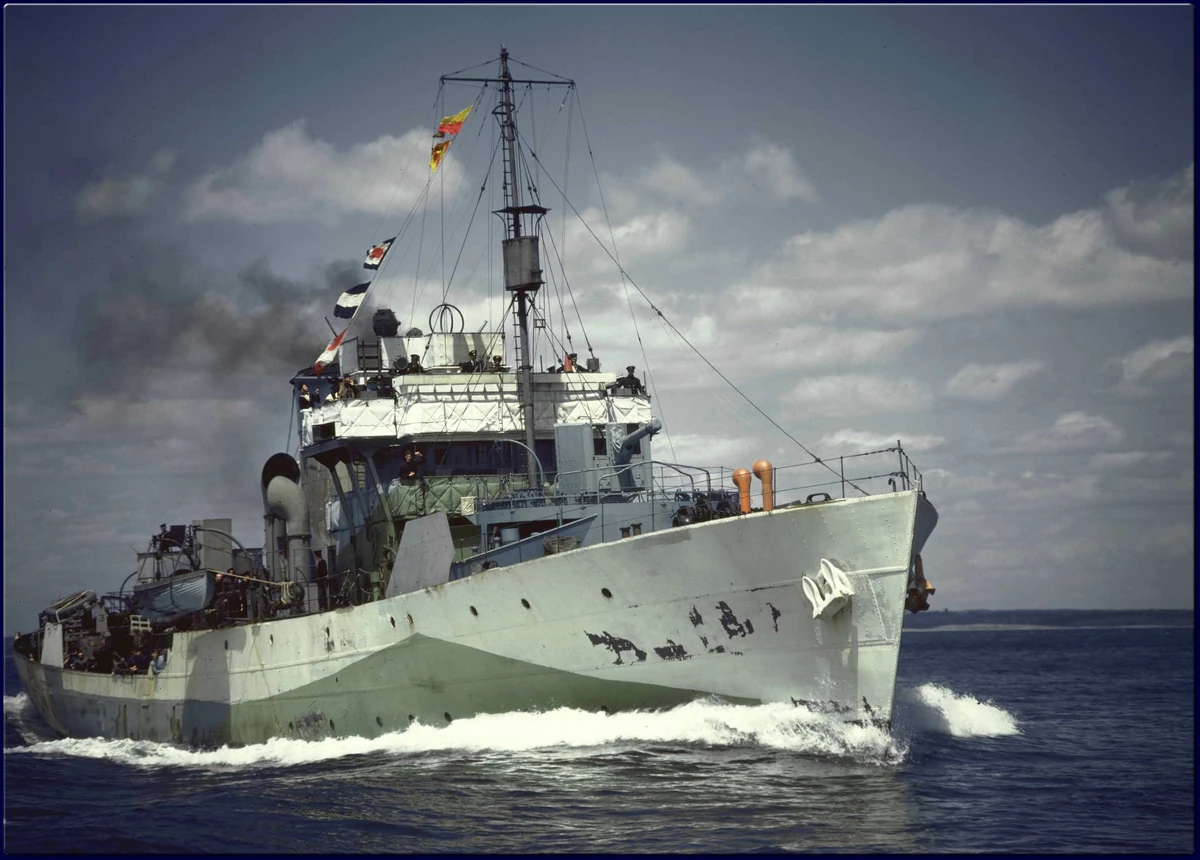 Flower class corvette | Against All Odds Wiki | Fandom