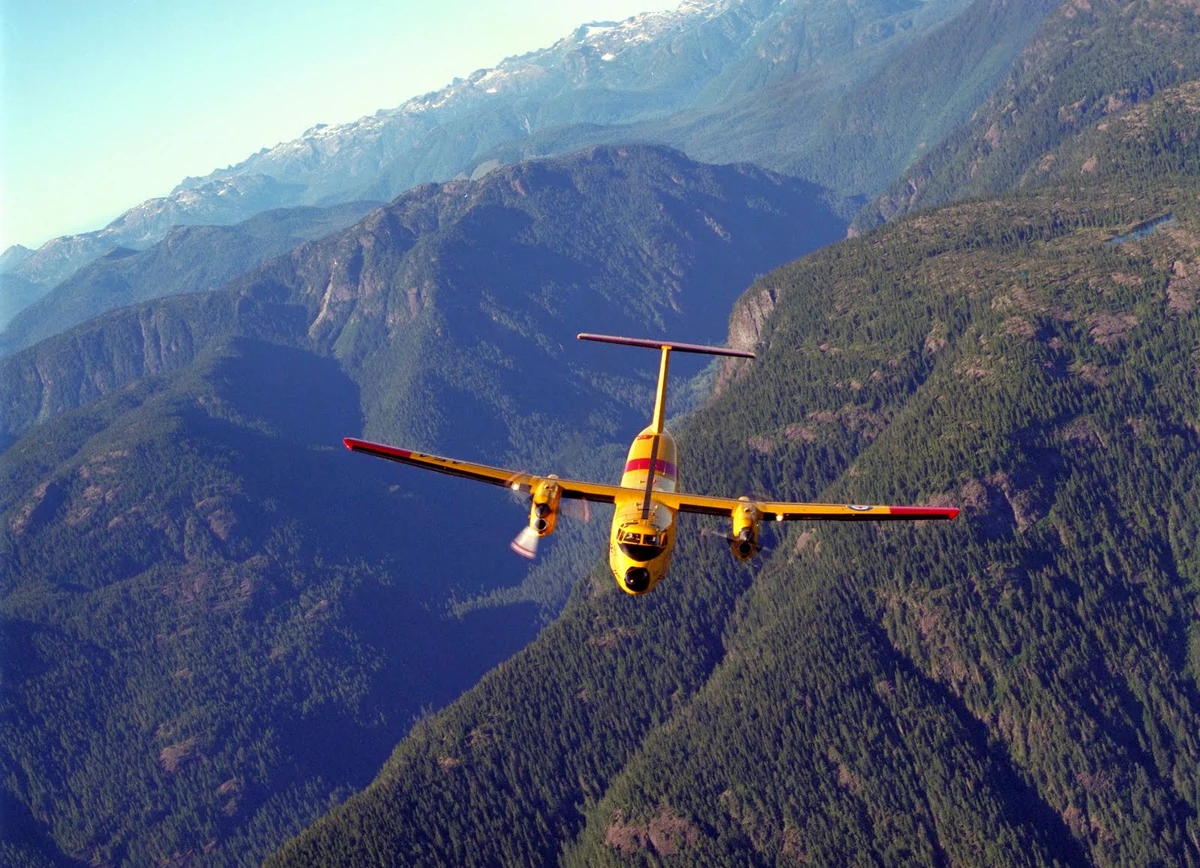 De Havilland Canada DHC-5 Buffalo | Against All Odds Wiki | Fandom