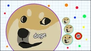 Doge | Agar.io Wiki | Fandom
