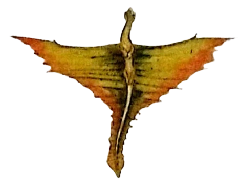 Category:Endor | Agathar Myths Wiki | Fandom