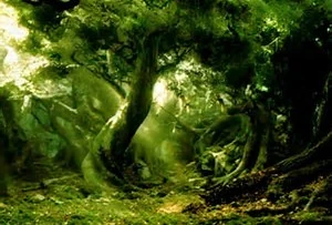 Fangorn | Age of Ascension: Lord of the Rings Server Wiki | Fandom