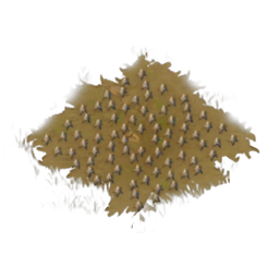 Caltrops | Age of Empires Castle Siege Wiki | Fandom