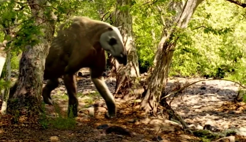 Chalicotherium | Age Of Mammals Wiki | Fandom