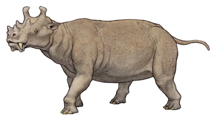 Uintatherium | Age Of Mammals Wiki | Fandom