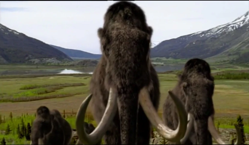 Woolly Mammoth | Age Of Mammals Wiki | Fandom