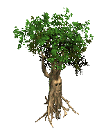 Age Of Wonders 2 Nymph