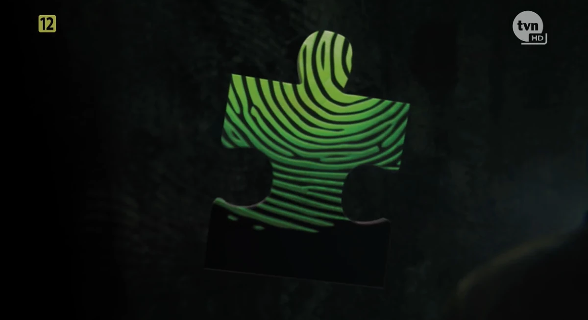 Puzzle | Agent Wiki | Fandom