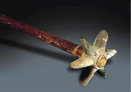 Champi Warrior | Age of Empires Series Wiki | Fandom