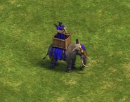 Elephant Archer (Age of Empires) | Age of Empires Series Wiki | Fandom