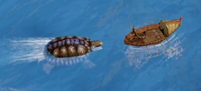 Tortue de guerre | Wiki Age of Empires | Fandom
