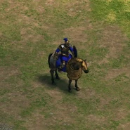 Cataphract (Age of Empires) | Age of Empires Series Wiki | Fandom
